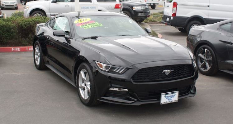 STO N SHO SNS62 License Plate Bracket for 2015-2017 Ford Mustang 2.3L ...